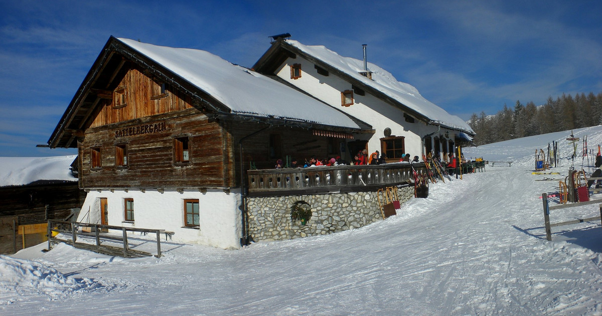 Sattelbergalm - Rodelwelten